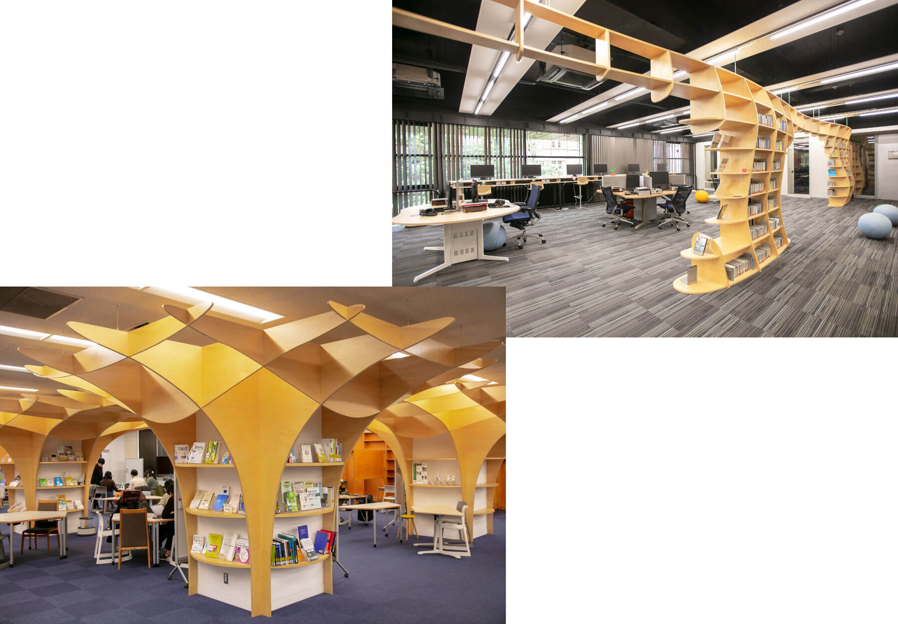 Kyoto University - HAKUHO FOUNDATION JAPANESE RESEARCH FELLOWSHIP